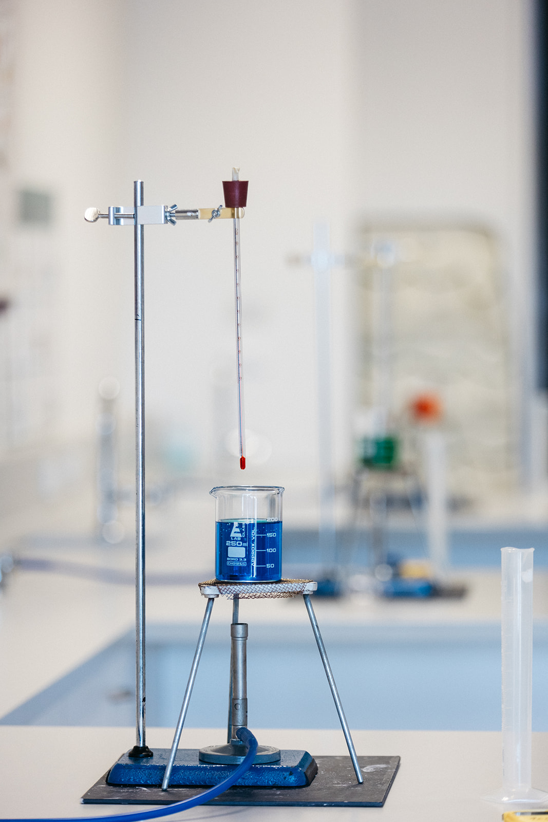 Science and STEM - Thomas Carr College